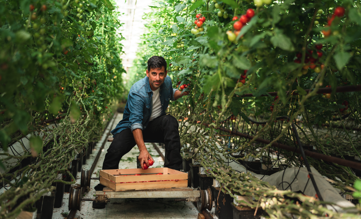 Sunmaster – Sunmaster greenhouse films